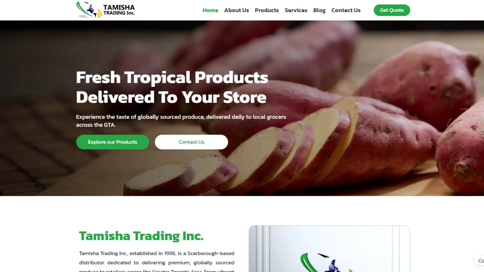 Tamisha Trading - Saddam Hussain Safi